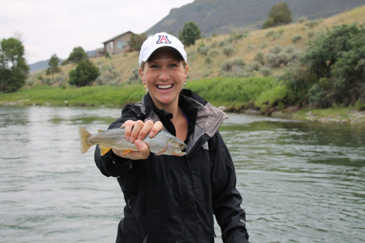 Fish Points – The Goon Room