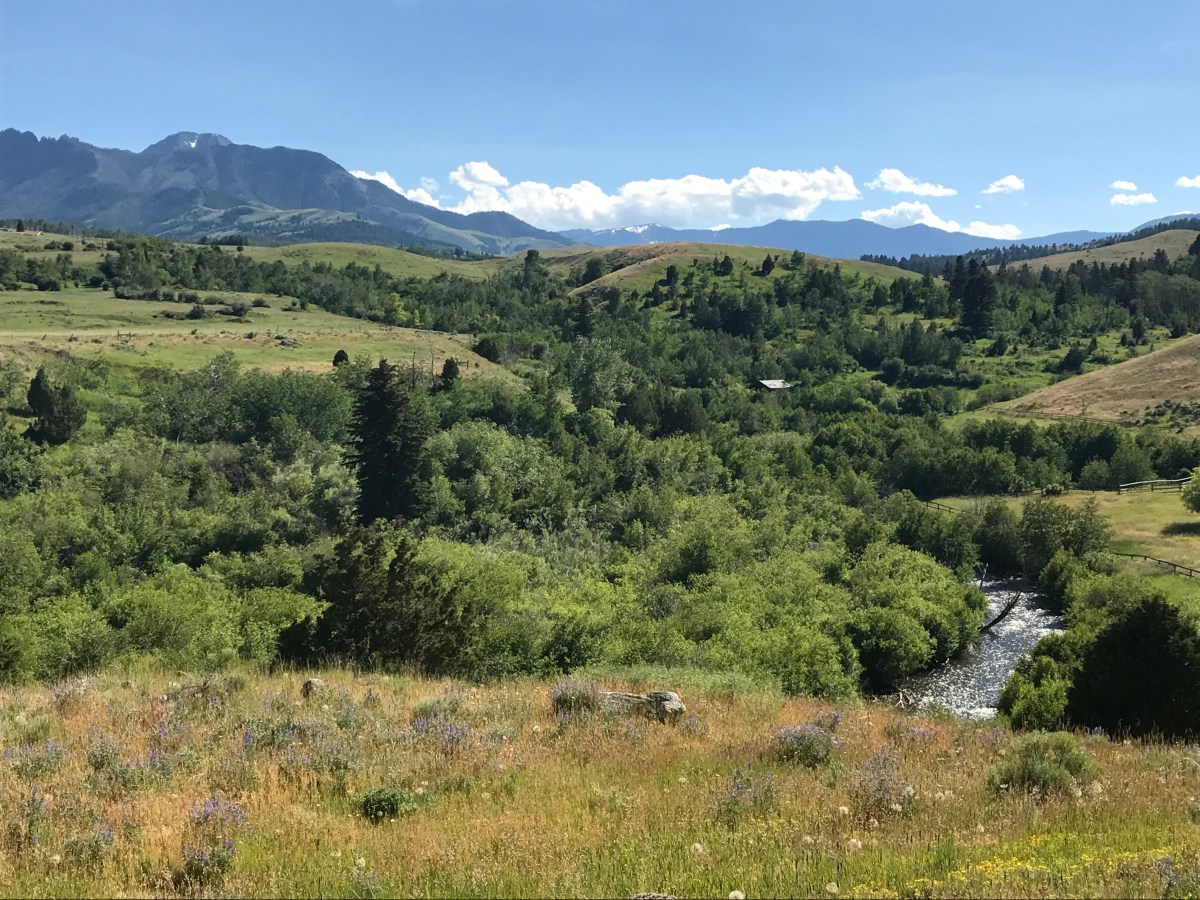 June 2017 – The Goon Room